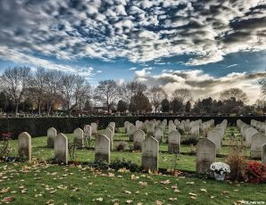 Polnews UK - Polacy w Anglii